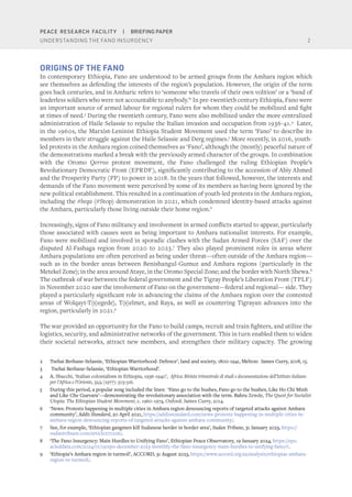 Understanding-the-Fano-Insurgency_final.pdf