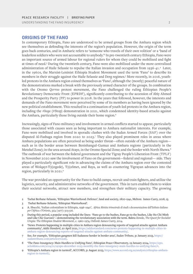 Understanding-the-Fano-Insurgency_final.pdf