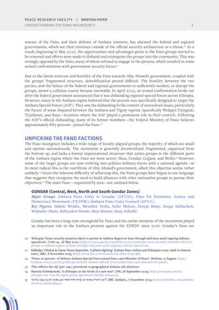 Understanding-the-Fano-Insurgency_final.pdf