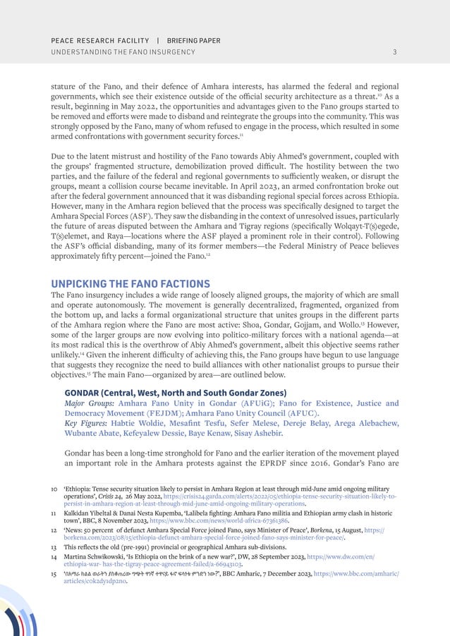 Understanding-the-Fano-Insurgency_final.pdf