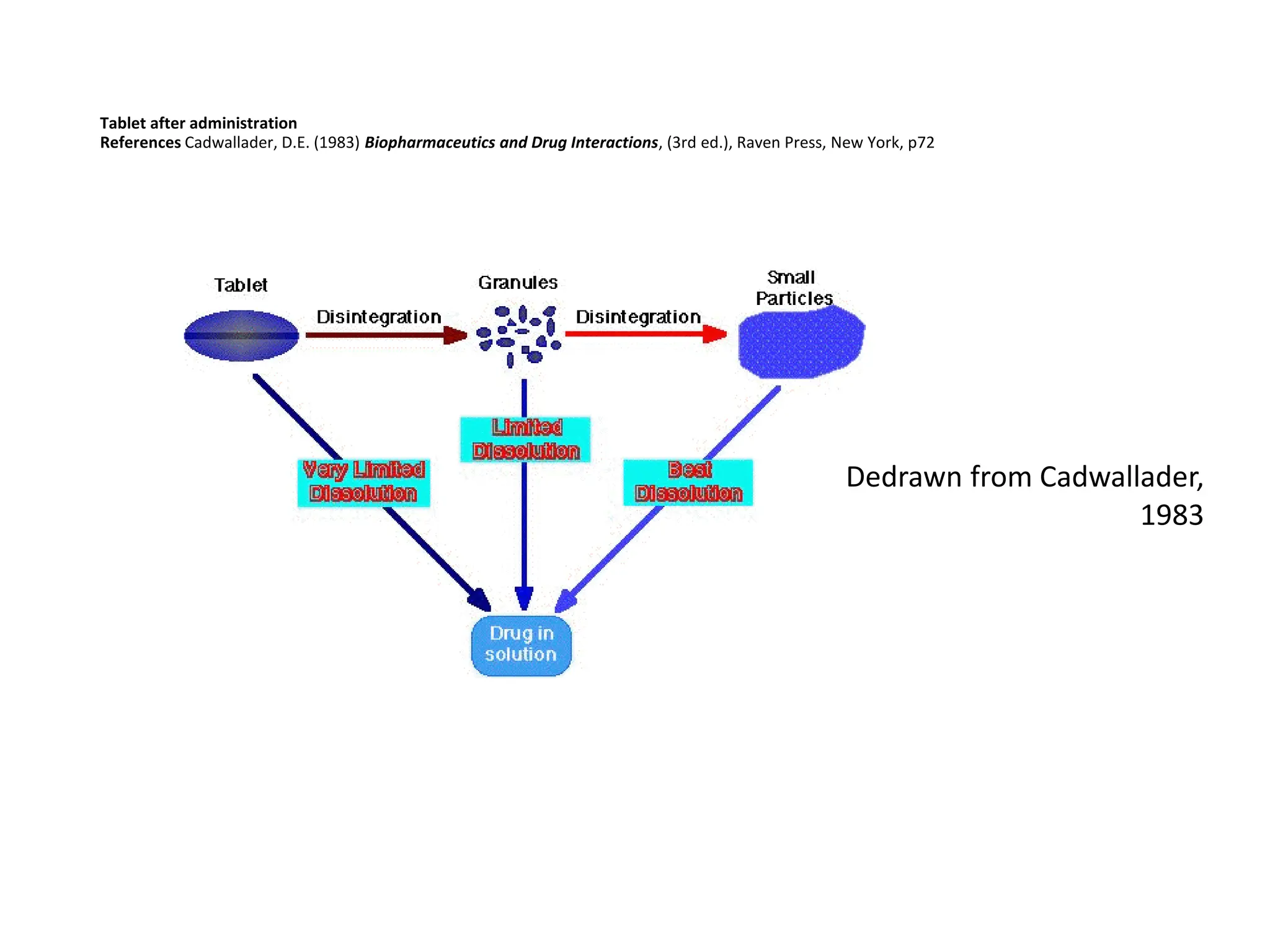 understanding-the-fundamental-principles-of-biopharmaceutics ...
