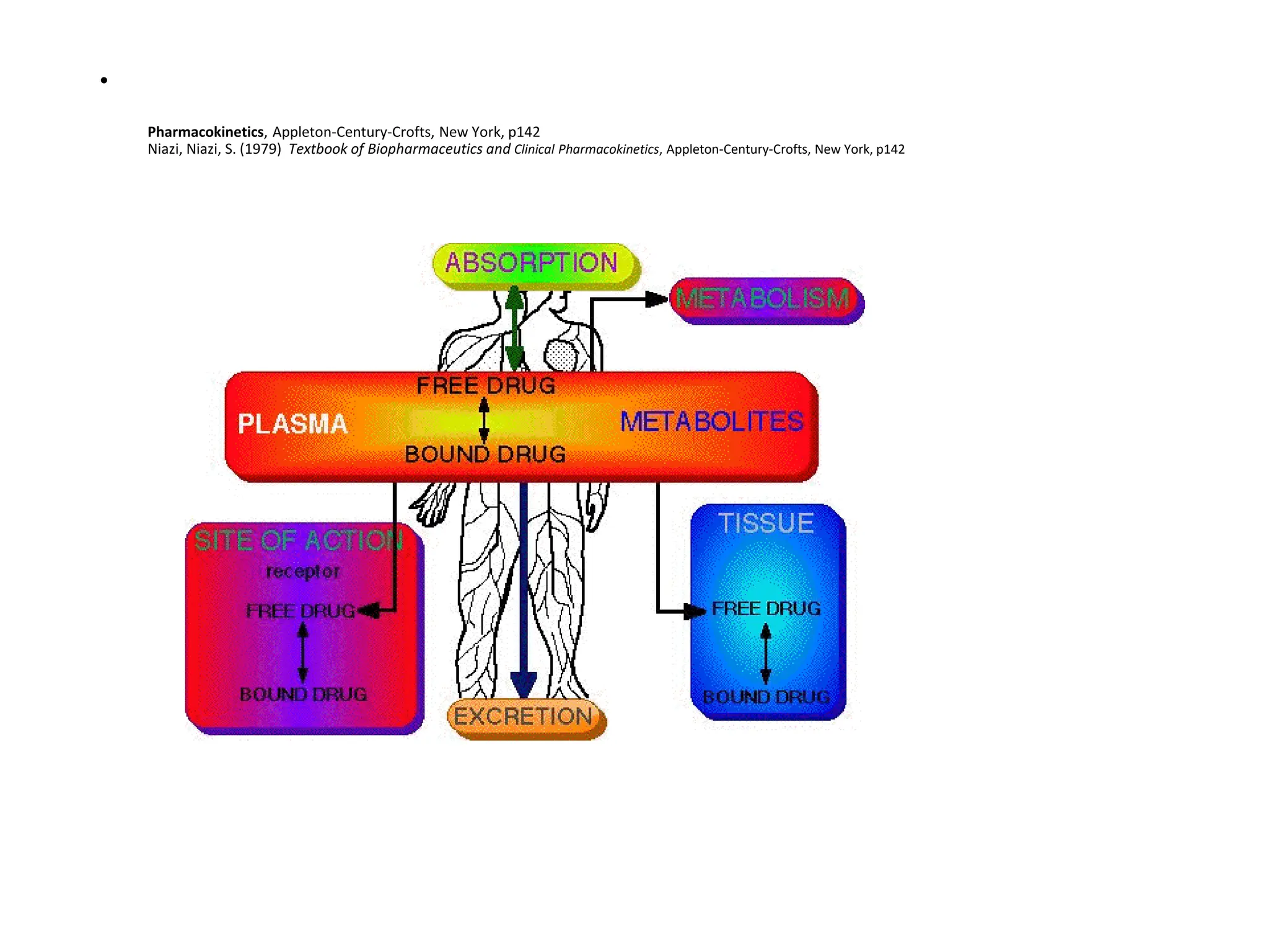 understanding-the-fundamental-principles-of-biopharmaceutics ...