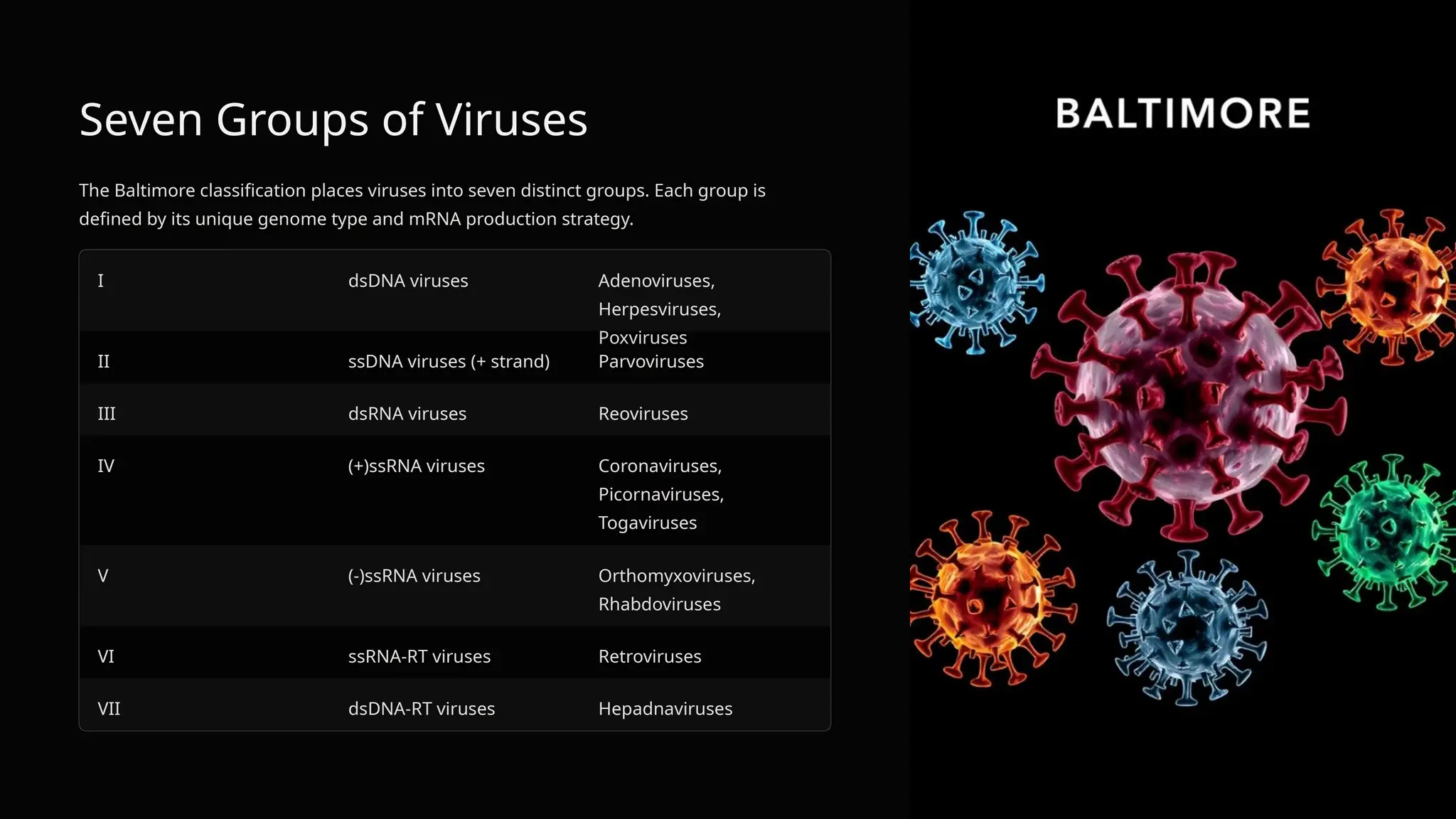 Understanding-Viruses, morphology, .pptx