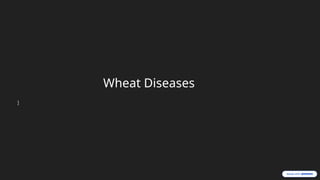 Wheat-Diseases and their management.pptx