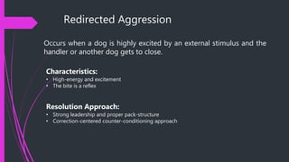 Understanding Aggression in Dogs | PPTX