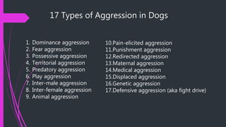 Understanding Aggression in Dogs | PPTX