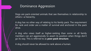 Understanding Aggression in Dogs | PPTX