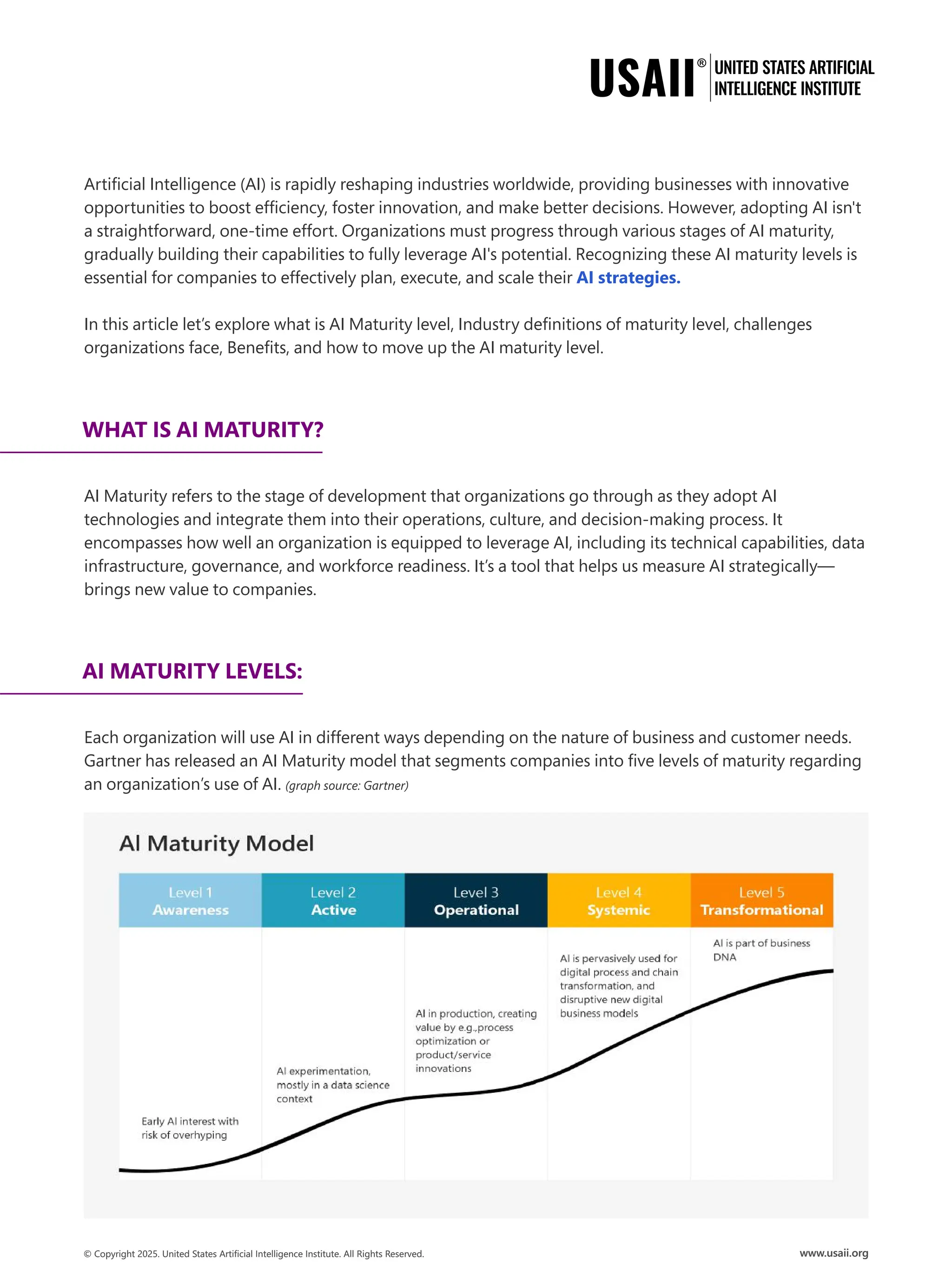 Understanding AI Maturity Levels: A Roadmap for Strategic AI Adoption ...