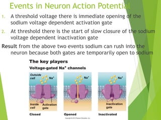 UNDERSTANDING Of ANAPHYLAXIS.pptx