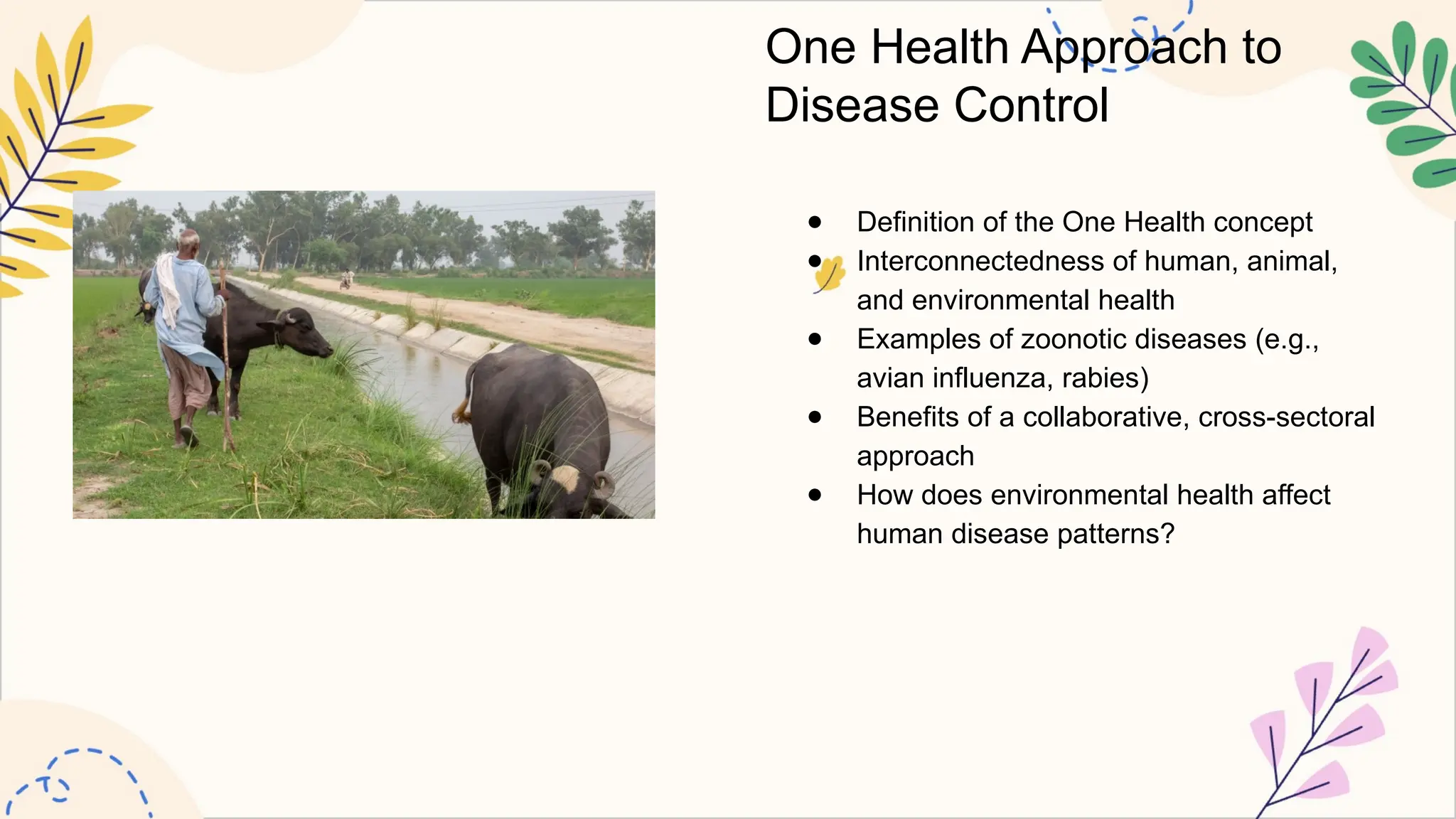 Understanding and Controlling Communicable and Non-Communicable ...