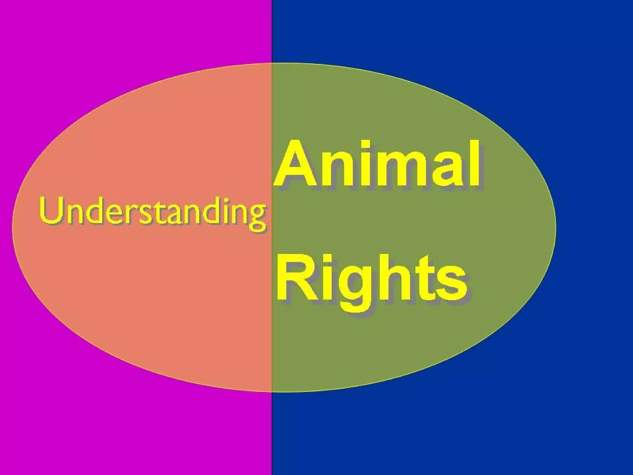 Understanding Animal Rights | PPT