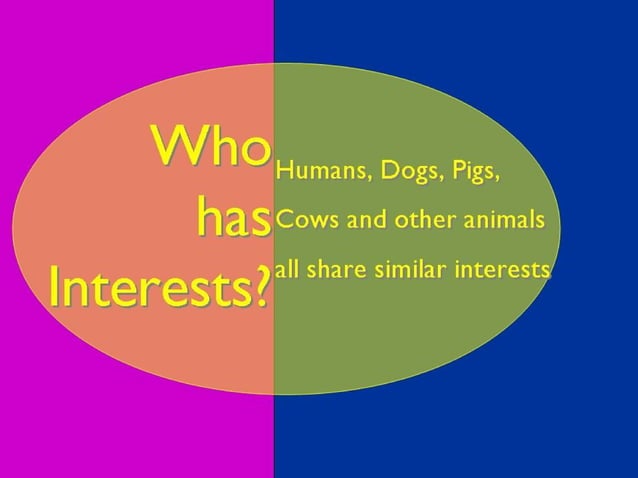 Understanding Animal Rights | PPT