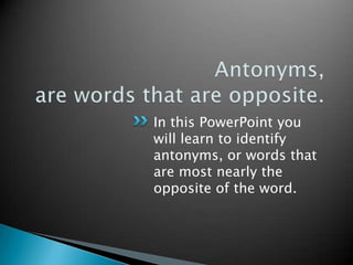 Understanding antonyms | PPTX