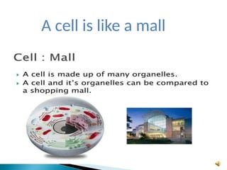 Under standing a the cell structure using an analogy on a shopping mall ...