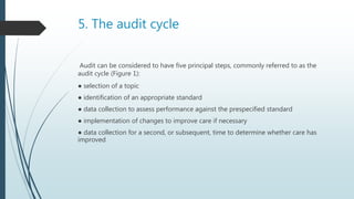 Understanding audit | PPT