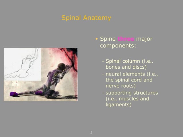 Understandingbackpainbasicsofspinedr 150818164241-lva1-app6891 | PPT
