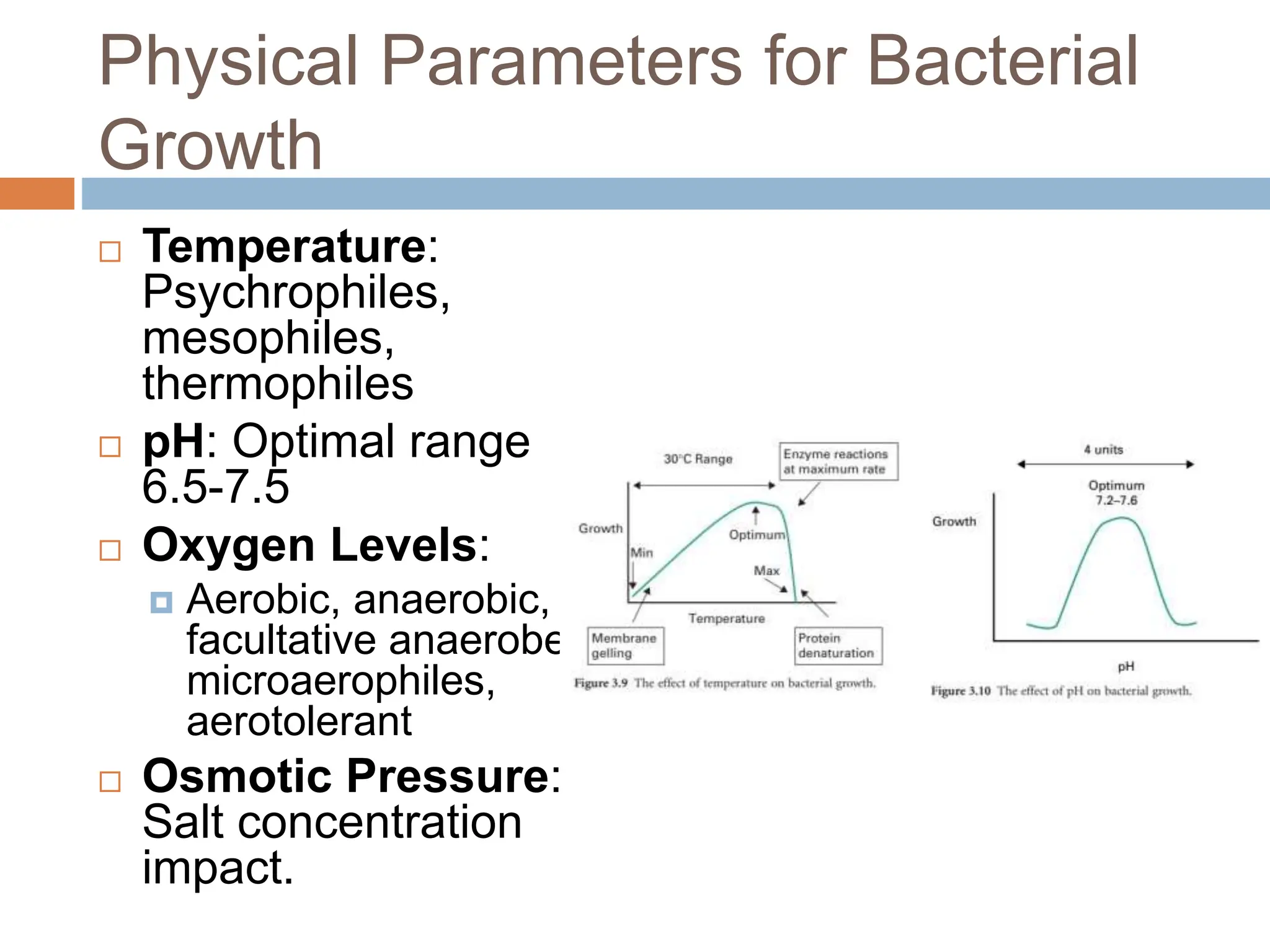 Understanding Bacterial Structure, Growth, and Cultivation.pptx