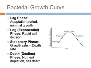 Understanding Bacterial Structure, Growth, and Cultivation.pptx