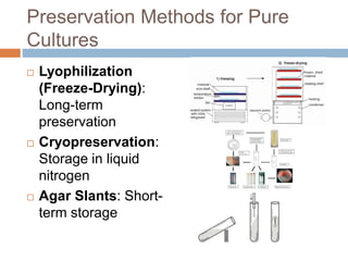 Understanding Bacterial Structure, Growth, and Cultivation.pptx