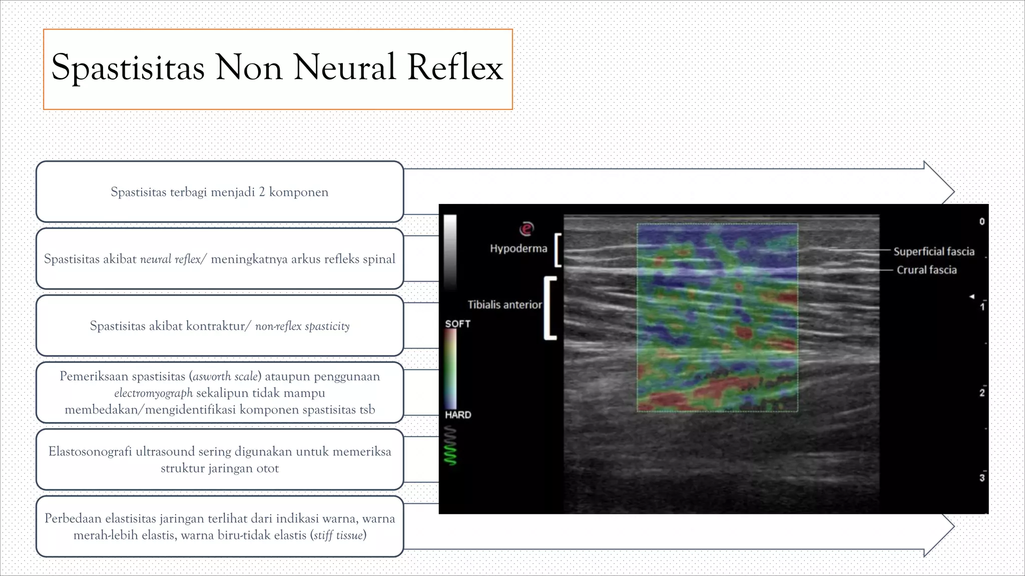 Understanding Basic Concept of Muscle Tone & Functional.pdf