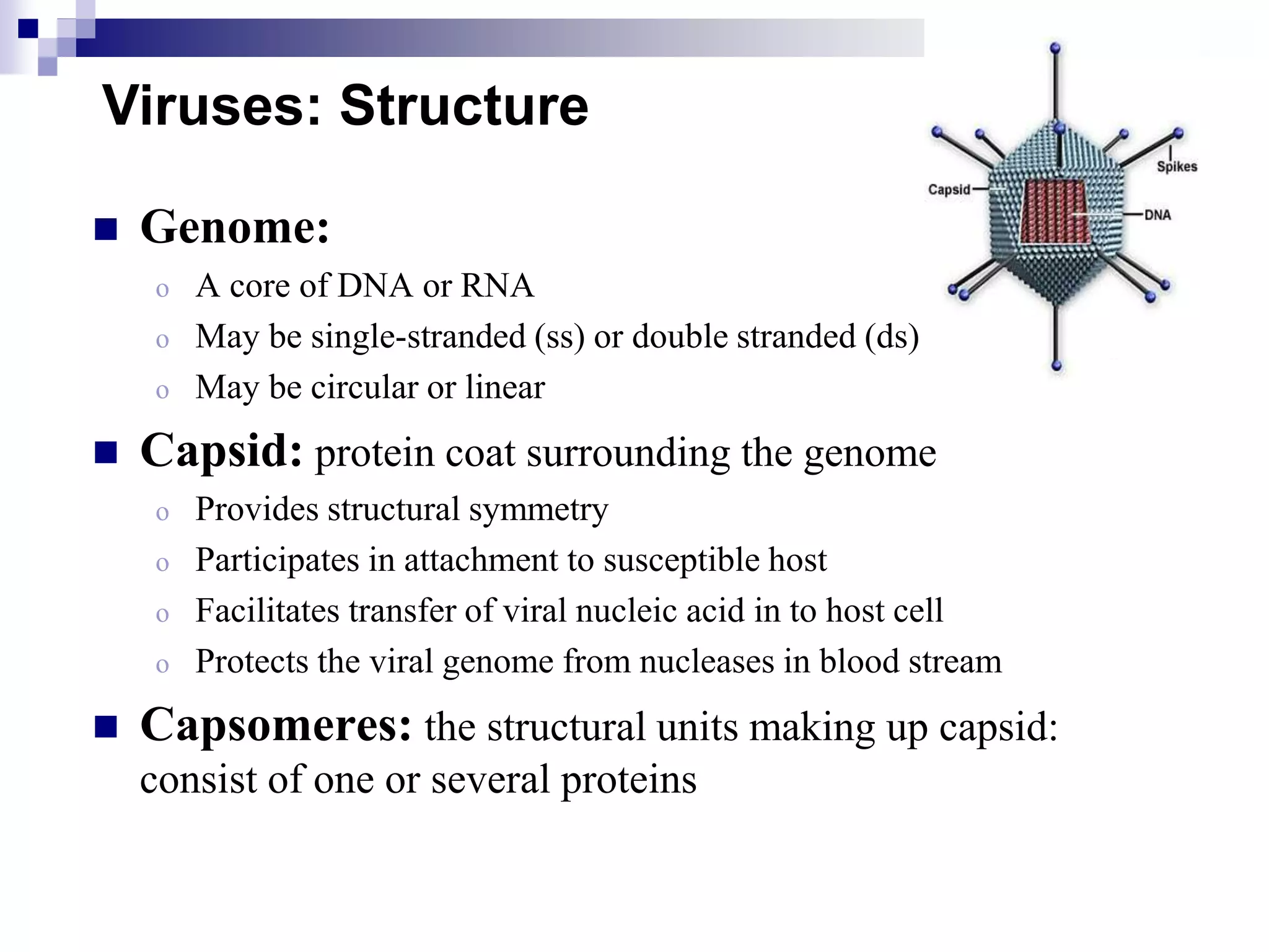 Understanding basic Virology.ppt