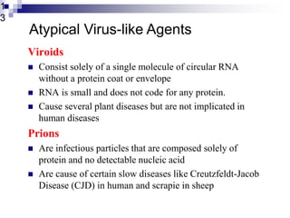Understanding basic Virology.ppt | Infectious Diseases | Diseases and Conditions