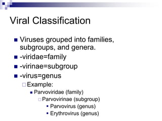 Understanding basic Virology.ppt | Infectious Diseases | Diseases and ...