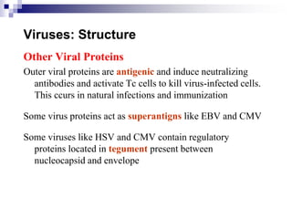Understanding basic Virology.ppt | Infectious Diseases | Diseases and ...