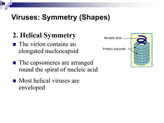 Understanding basic Virology.ppt