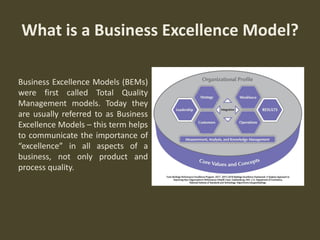 Understanding Business Excellence | PDF