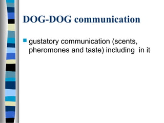 Understanding behavior of cat and dog | PPT
