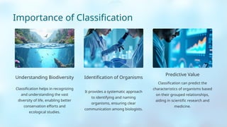 Understanding Biological Class 11 biology | PPTX