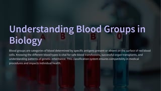 Understanding Blood Groups in human beings | PDF