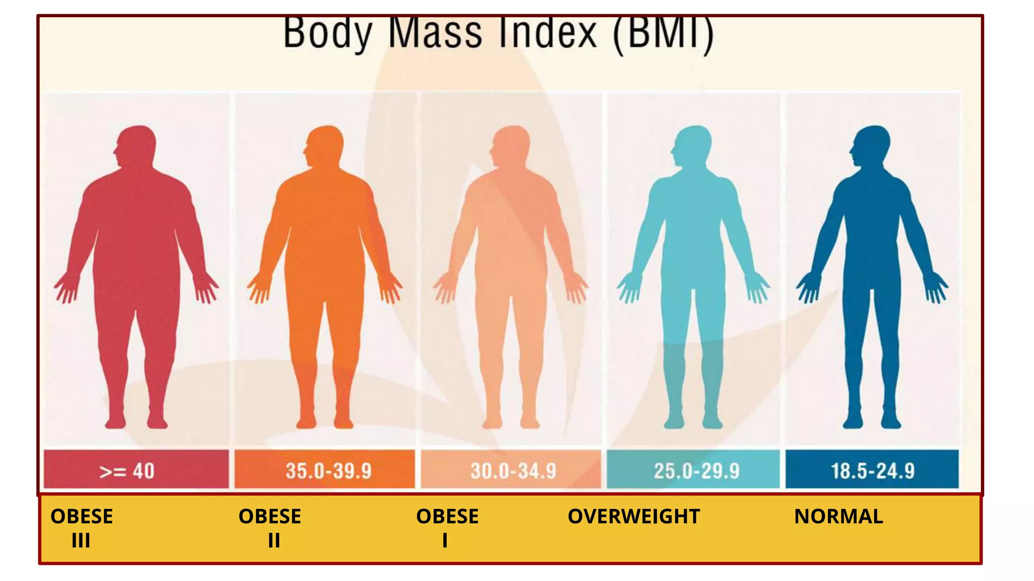 understanding BMI.pptx