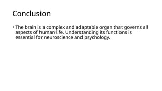 Understanding Brain Functions powerpoint.pptx