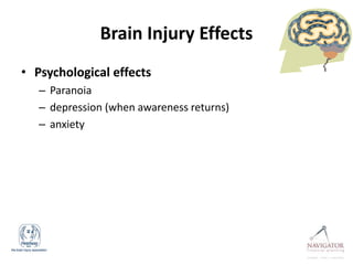 Understanding brain injury | PPTX | Death, Injury, or Military Conflict ...