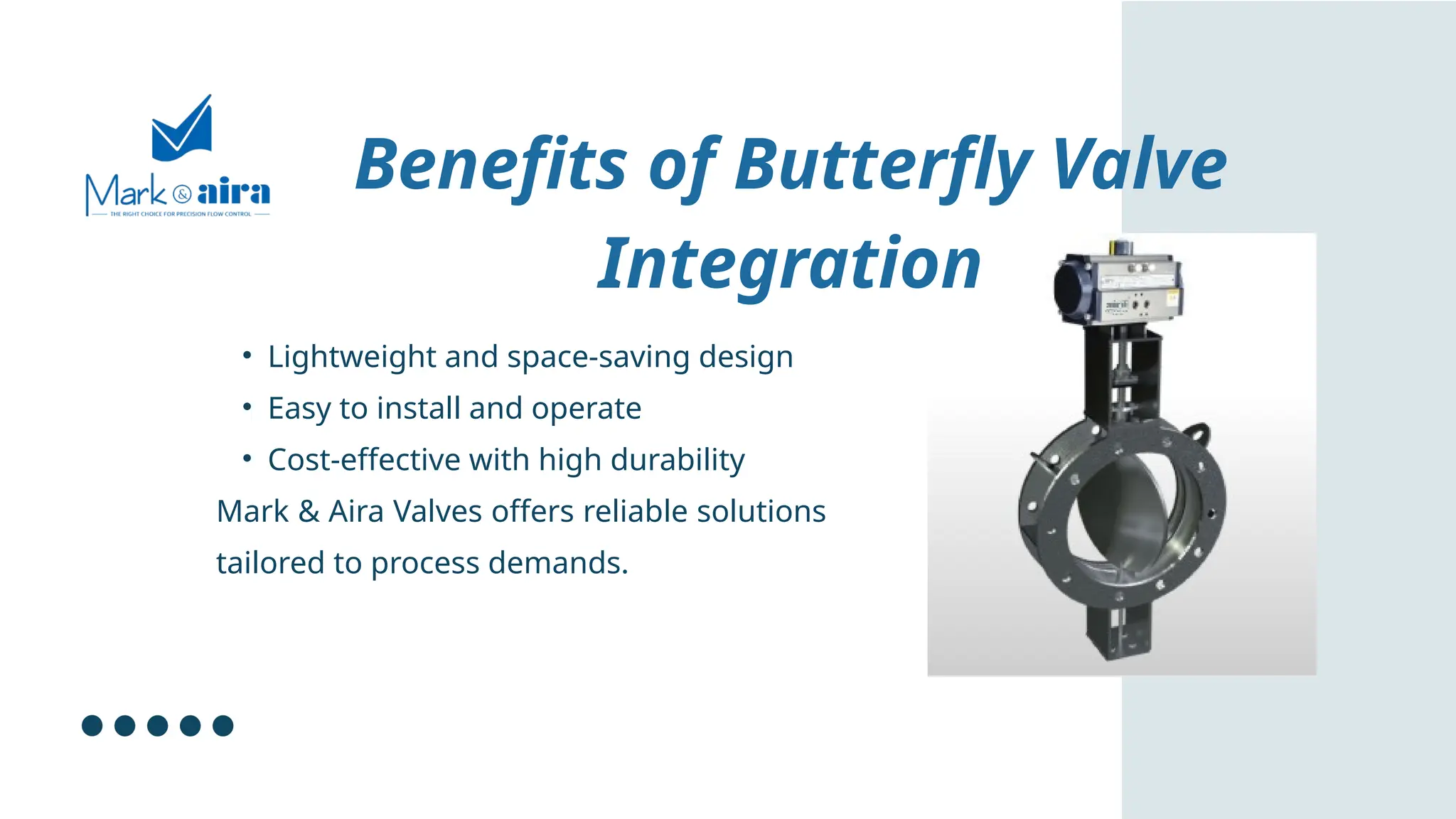 Understanding Butterfly Valves in Process Flow System.pptx