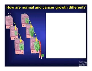 Basics of cancer and its types and its prevention | PDF