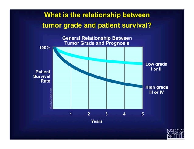 Basics of cancer and its types and its prevention | PDF | Cancer ...