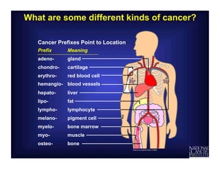 Basics of cancer and its types and its prevention | PDF