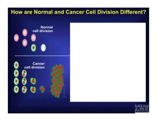 Basics of cancer and its types and its prevention | PDF