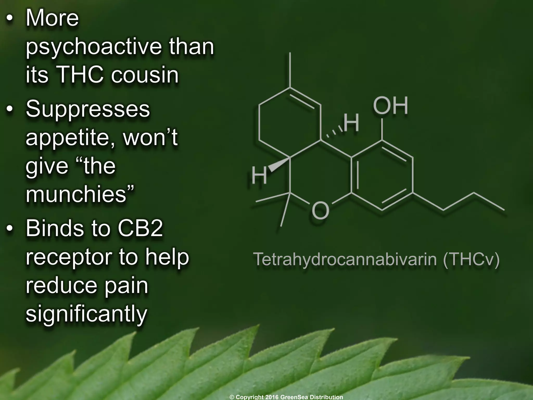 Understanding Cannabinoids - How Cannabis Helps Our Bodies | PDF