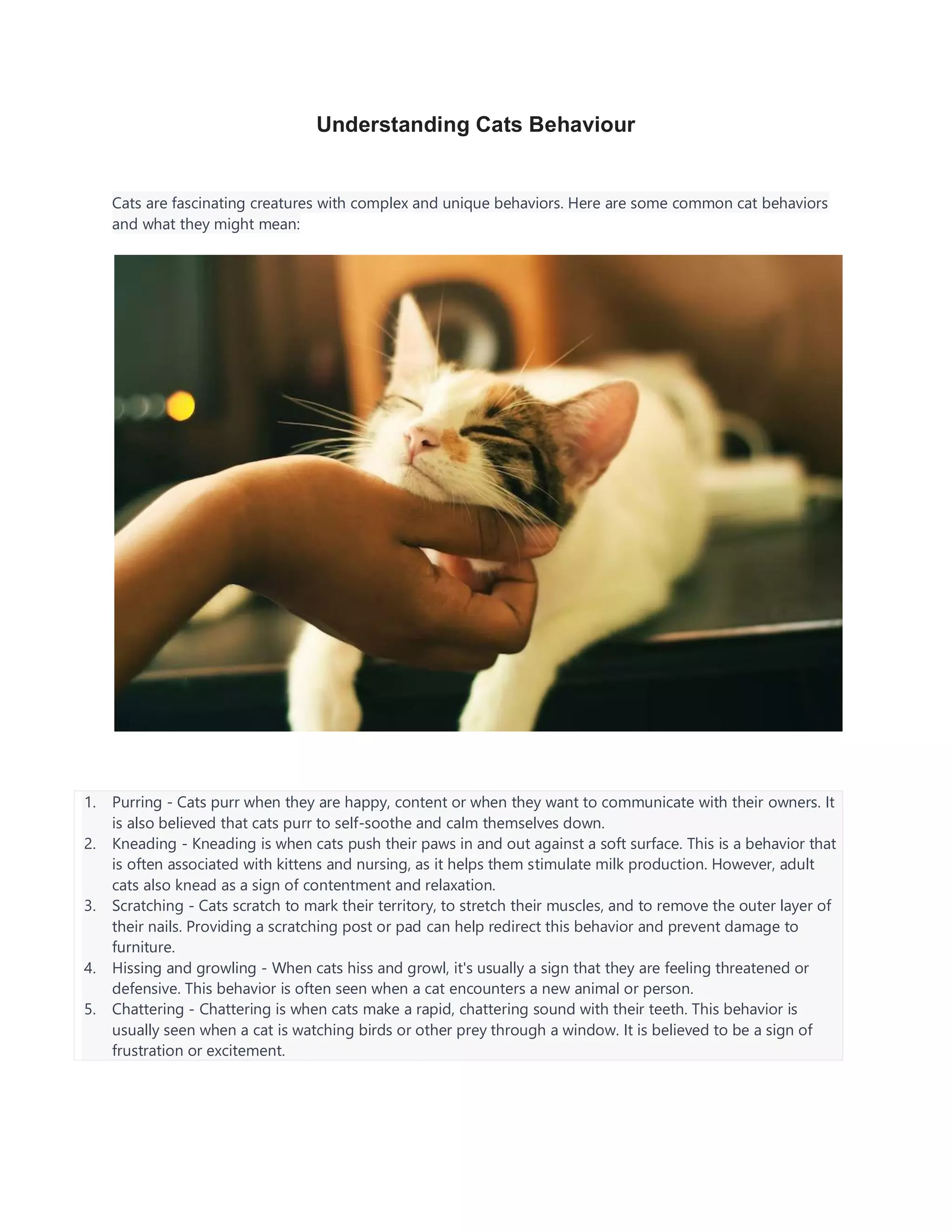 Understanding Cats Behaviour.pdf