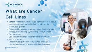 Understanding Cell Lines in Cancer Research | PPTX
