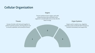 Understanding Cells biology and their function and type of cell and ...