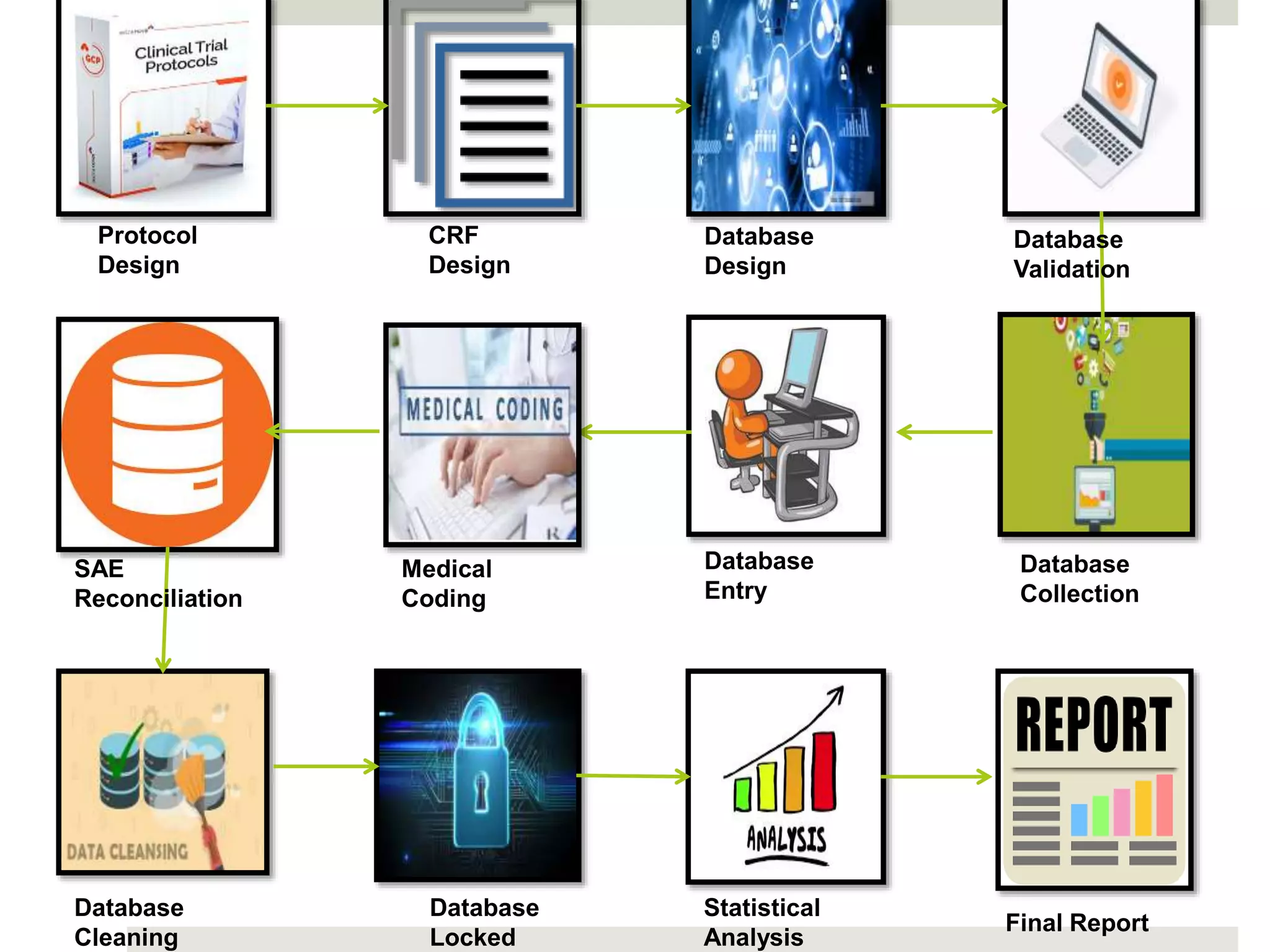 Understanding clinical data management | PPTX | Databases | Computer Software and Applications