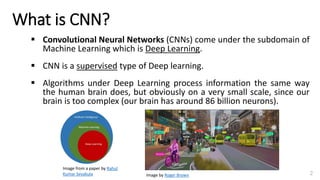 Understanding Convolutional Neural Networks (CNN) | PDF | Artificial Intelligence | Technology ...