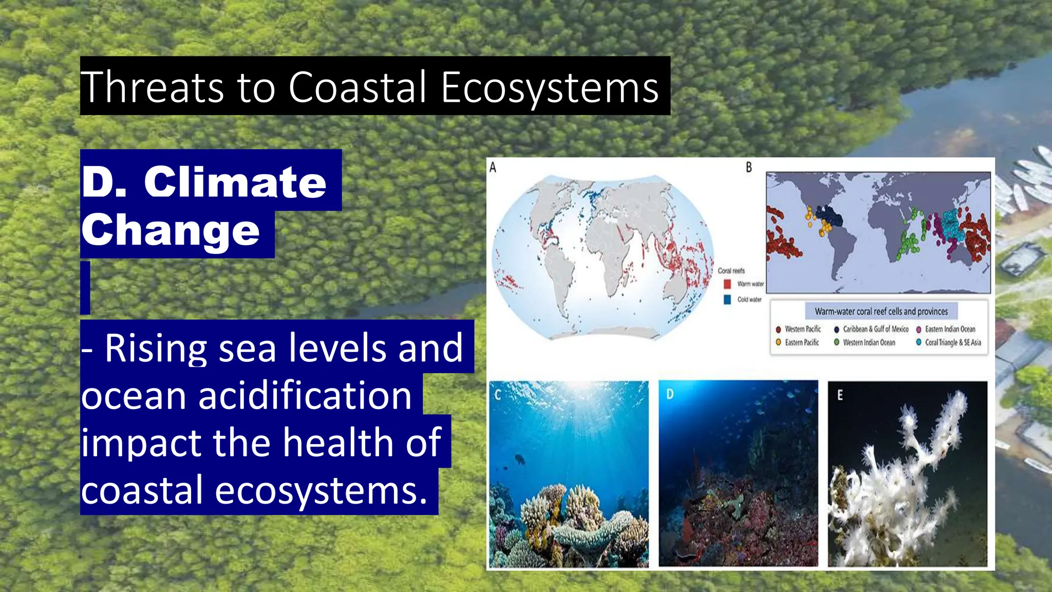 UNDERSTANDING Coastal Ecosystem.pptx