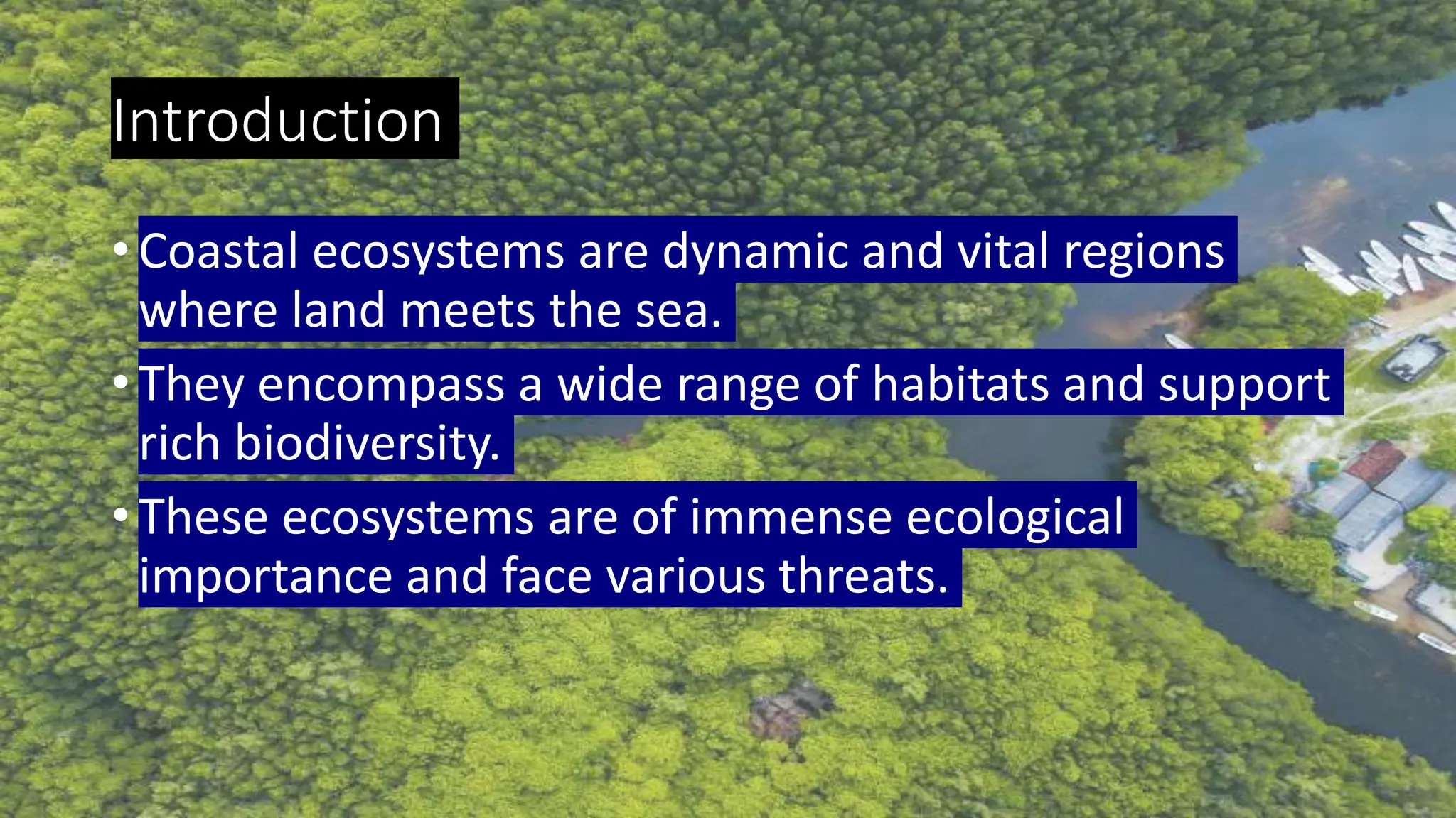 UNDERSTANDING Coastal Ecosystem.pptx