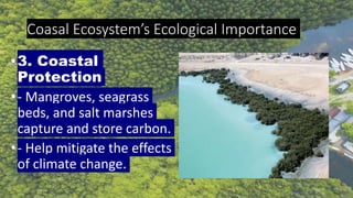 UNDERSTANDING Coastal Ecosystem.pptx